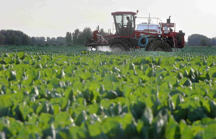 Pesticidenuitspraak maakt gebruik landbouwgif nabij natuur onmogelijk ...