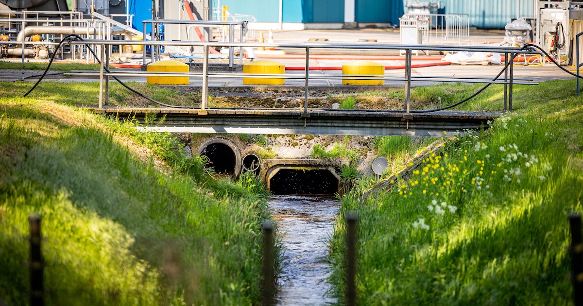 Pluim dioxaan nu in kanaal Almelo-De Haandrik | Almelo | Tubantia.nl