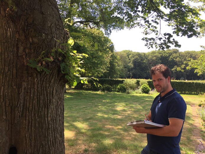 Veel eikels in je tuin? Dit moet je doen | Hof van Twente | tubantia.nl