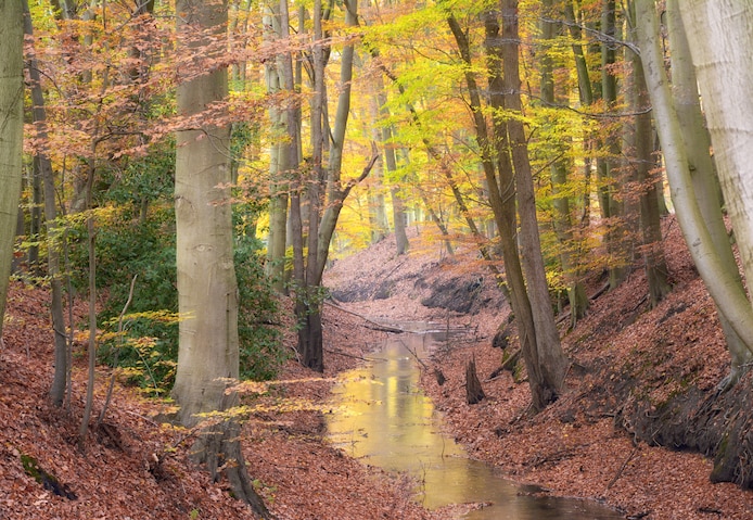 Rheine im Herbst; met Truus noar ’n Pruus | Fietsen en wandelen met ...