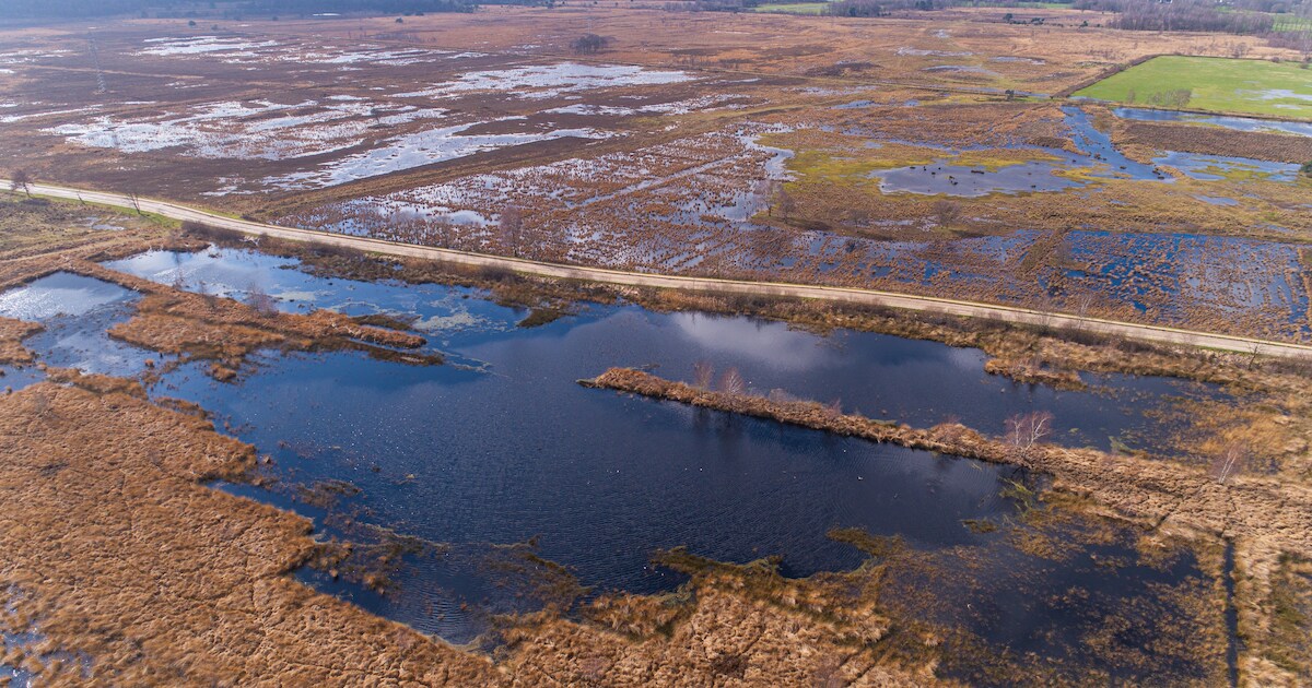 Status van Wierdense Veld als Natura 2000-gebied onomstreden | Regio ...