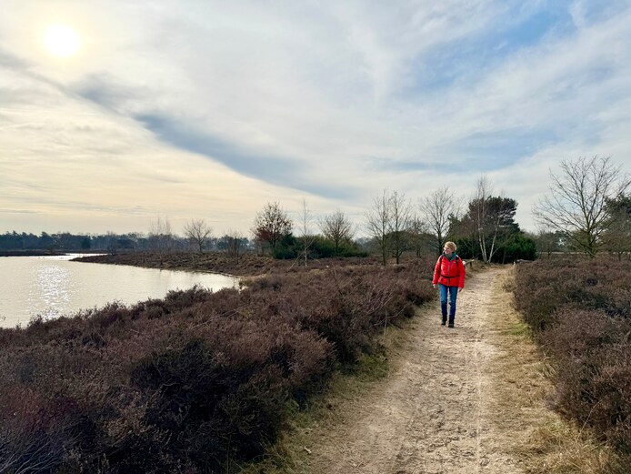 Brommers kiek’n en de Bergvennen, het komt allemaal samen in Lattrop ...