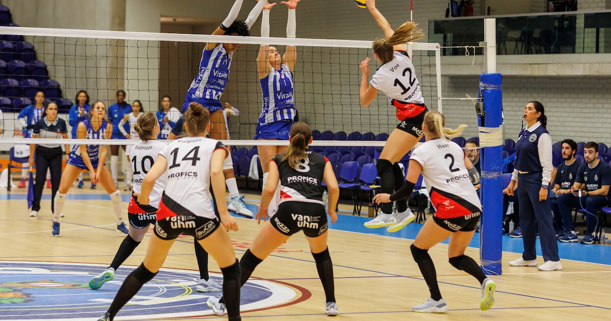 Volleybal: Apollo 8 levert veel strijd, maar Porto is een maatje te ...