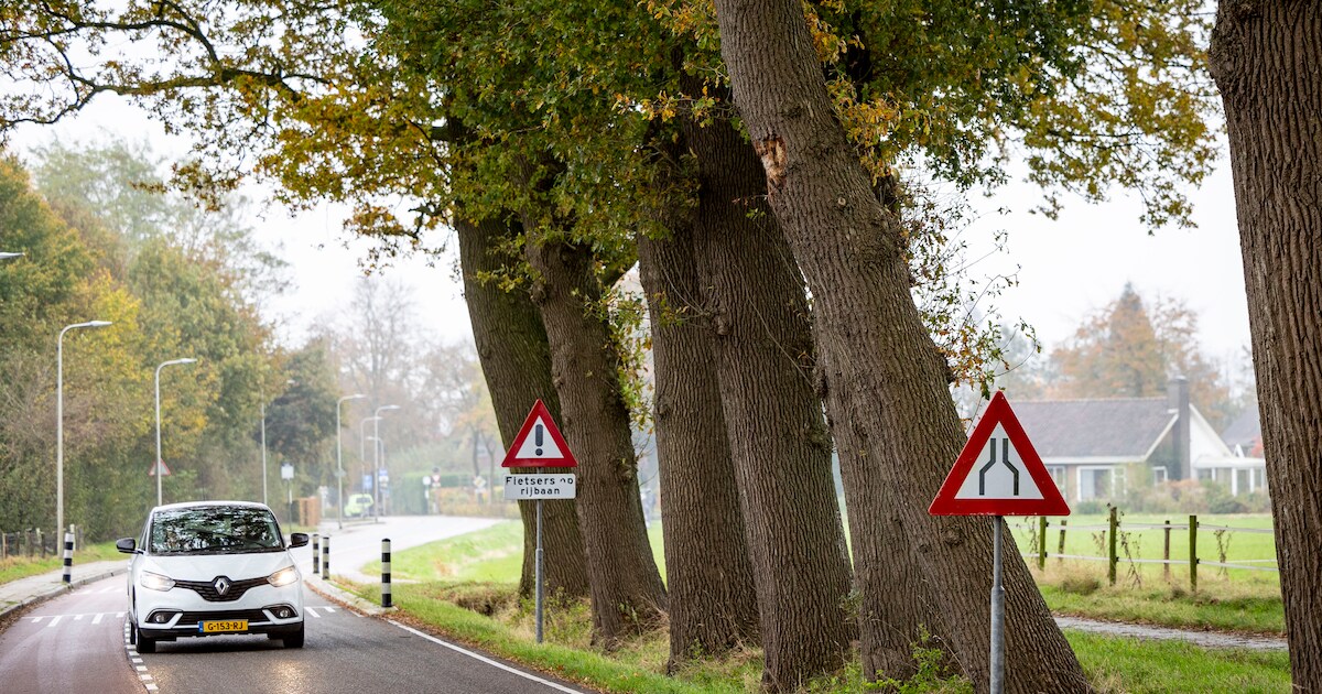 Vrachtwagen raakt scheve boom, bedrijf stelt Dinkelland aansprakelijk ...
