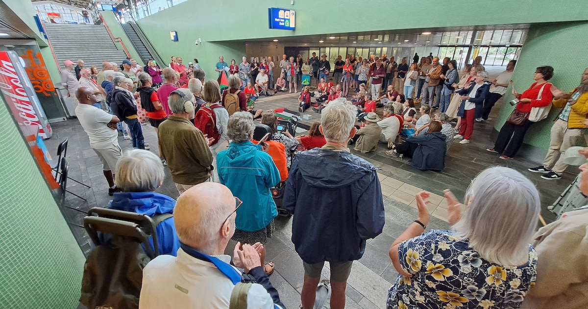 Borne vindt steun Gaza geen zaak van de gemeente en Hengelo houdt een ...