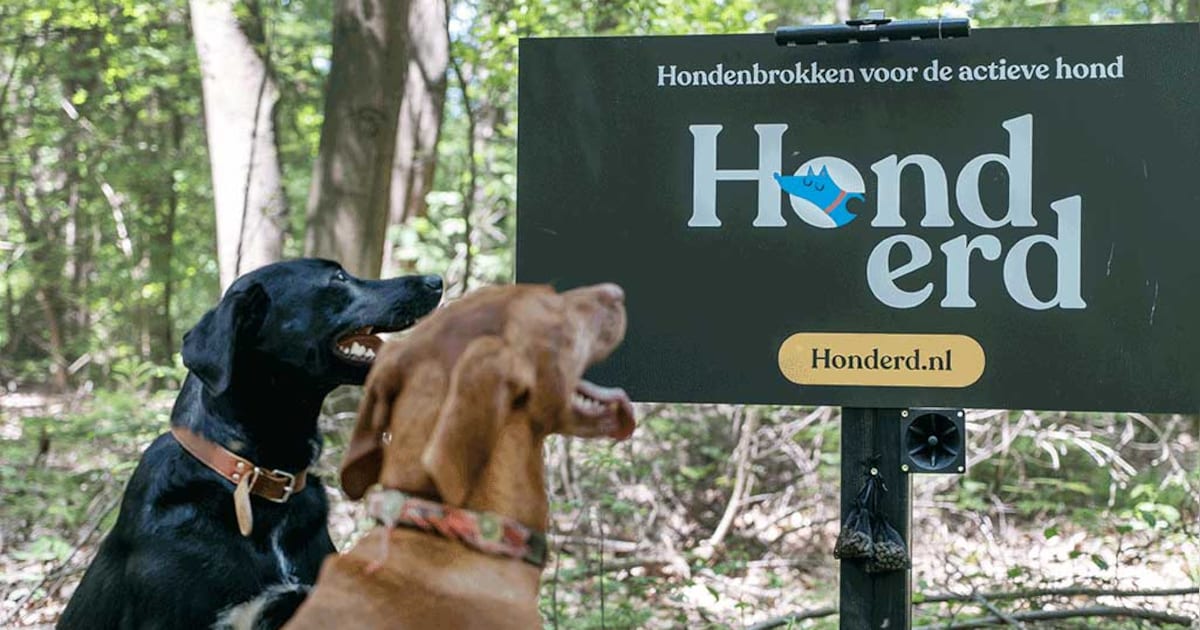 Goed idee of niet? Een reclamebord voor honden met geur en geluid in ...