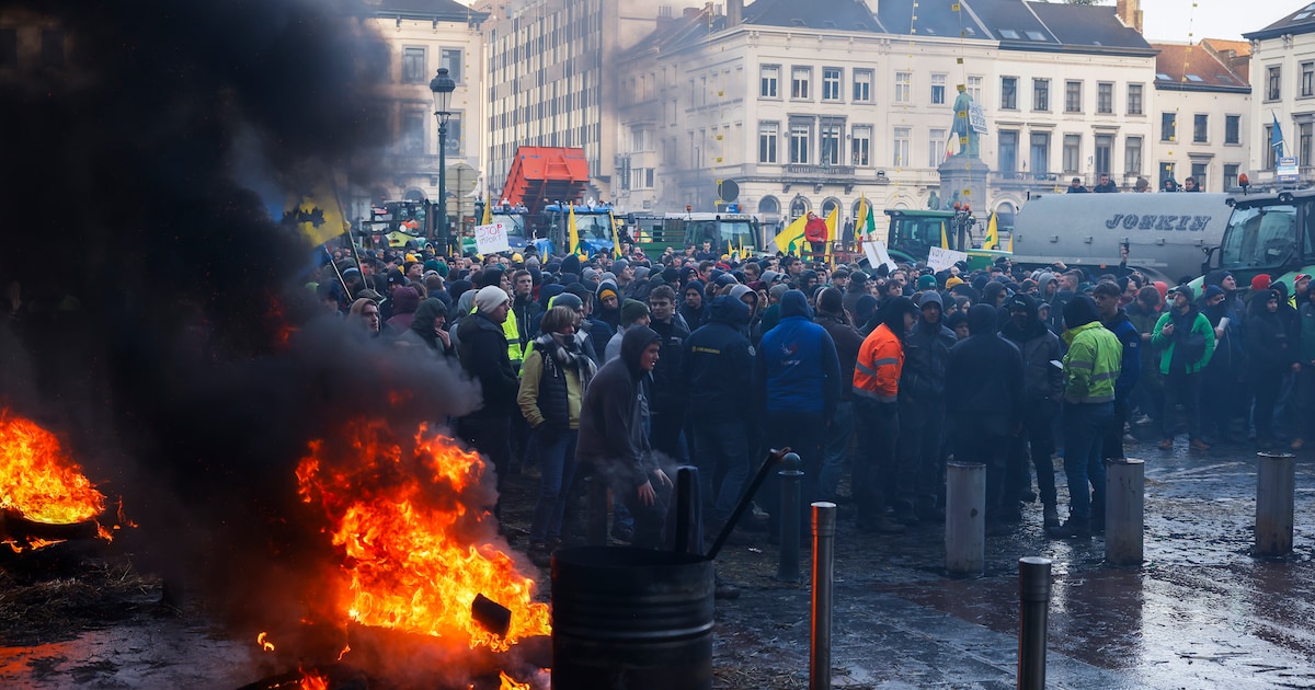 Wat willen de boeren van Brussel? Hun belangrijkste grieven los je niet ...