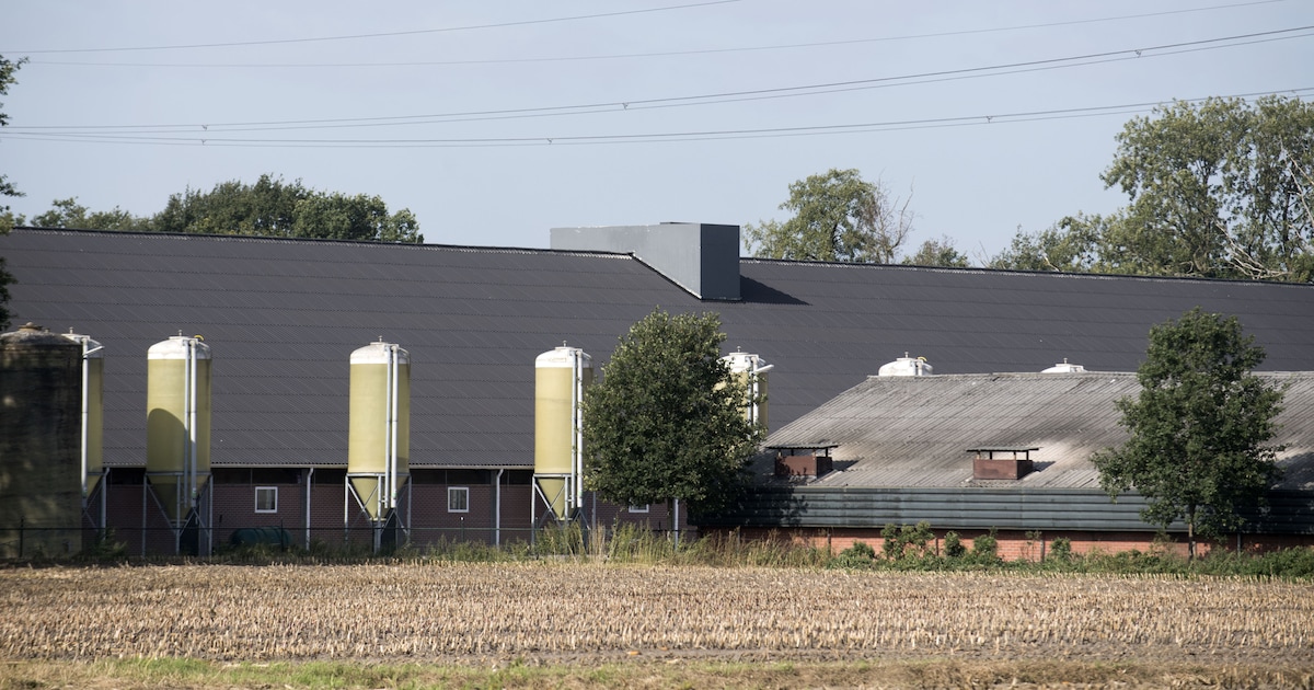 Nieuwe cijfers laten zien: er gaat nog steeds veel mis bij luchtwassers in veestallen | Deventer ...