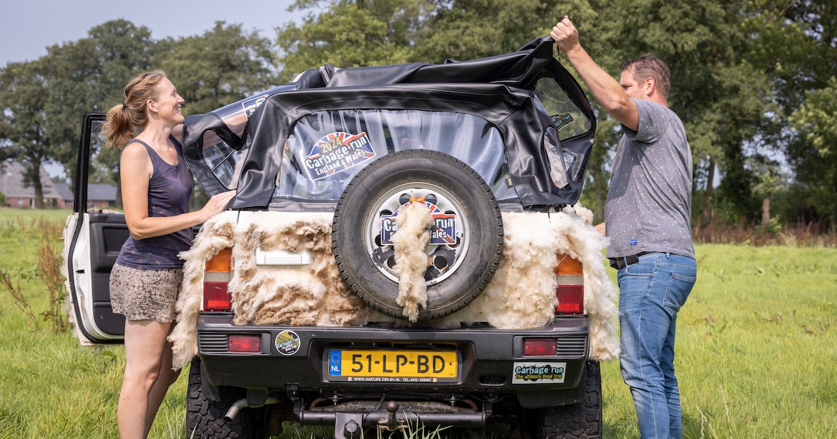 Overstroomde wegen en kapotte remmen: schaapauto van Twentse Marianne ...