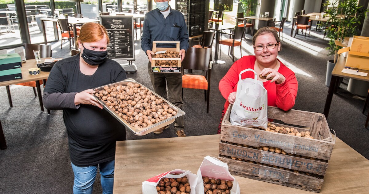 Deldenaar (81) zorgt met zijn walnoten voor win-win-winsituatie | Hof ...