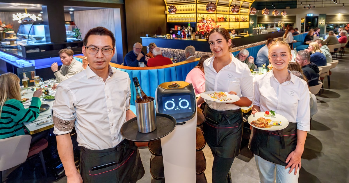 Eén gerecht per keer voor kwaliteit bij Mellow Dining in Rijssen ...