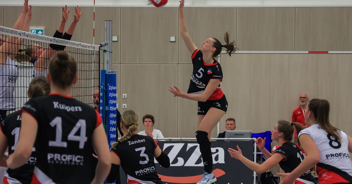 Apollo 8 voor derde keer in geschiedenis in bekerfinale, volleybal en ...