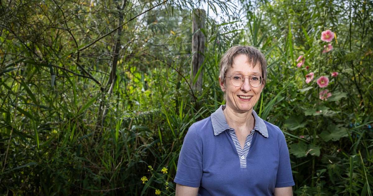 Expert Jessica Terwiel helpt slachtoffers sektes en hun families: ‘Die ...