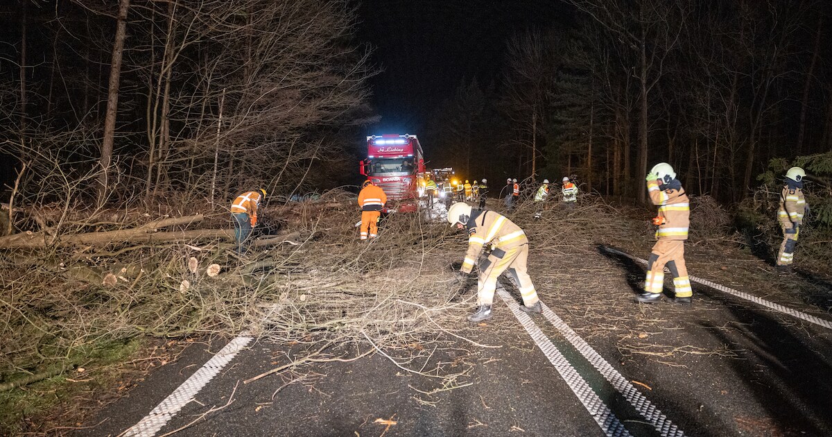 Bomen vallen als mikadostokjes om bij N36, trucker Jan Mart (20) uit ...