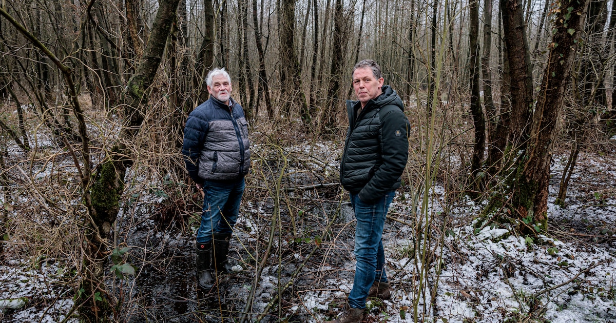 Het is drijfnat in het bos van Bennie, en het moet nog natter ...