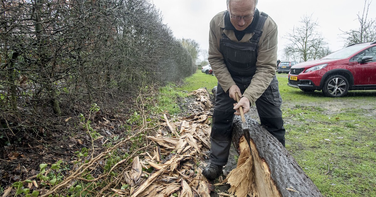 Jan Schepers (65) maakt met de hand een nieuwe putboom voor De ...