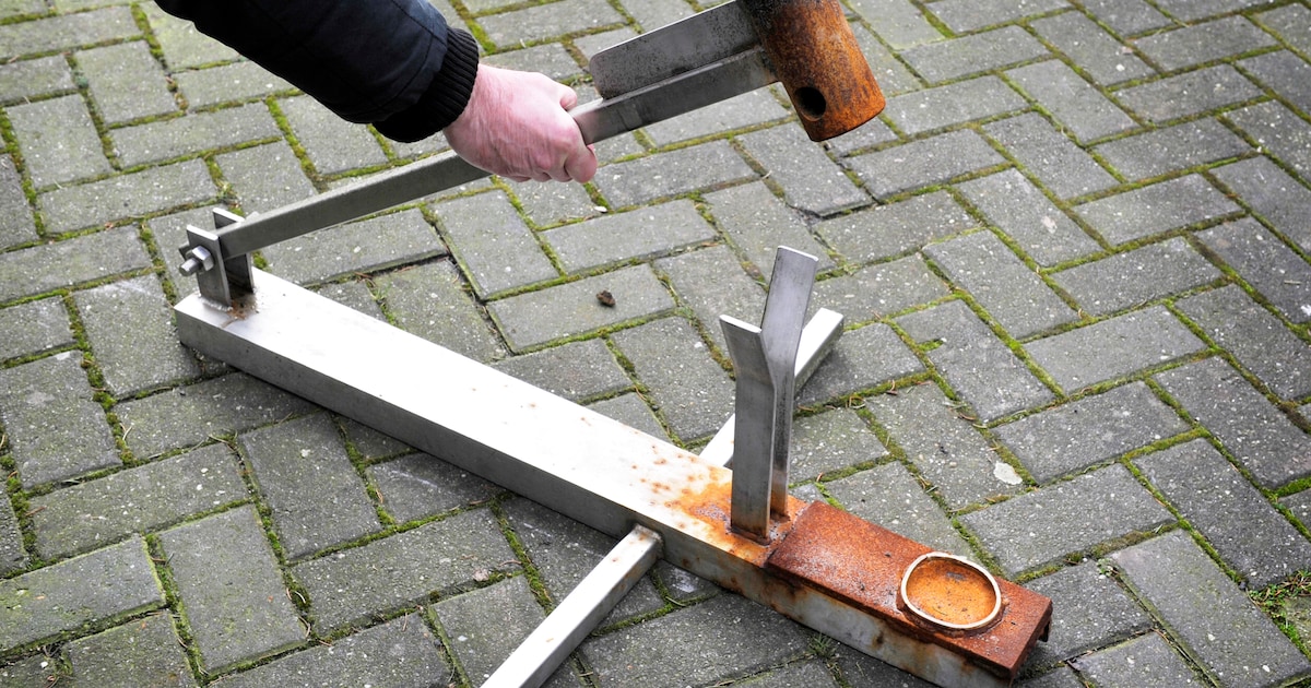 Volgend jaar klaphamerverbod in gemeente Twenterand na oproep van ...