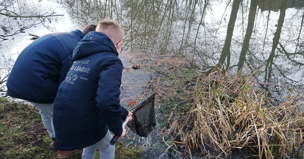 Hevige regen en dan toch dode vissen in de vijver? | Oldenzaal ...