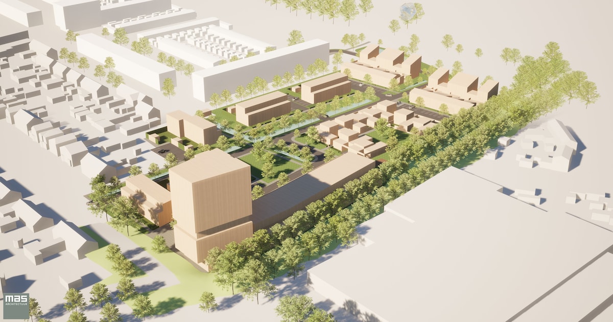 Machinebouwer wordt projectontwikkelaar: Kaltenbach verhuist en bouwt ...