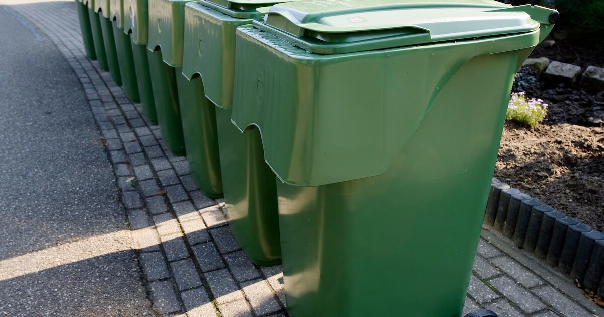 Moet je de Japanse duizendknoop nu in de groene of grijze container ...