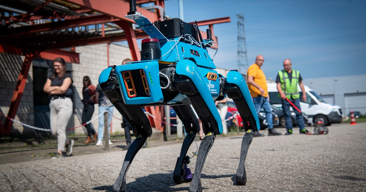 Deze Twentse robothond kan nu ook bij jou in de straat gaslekken ...