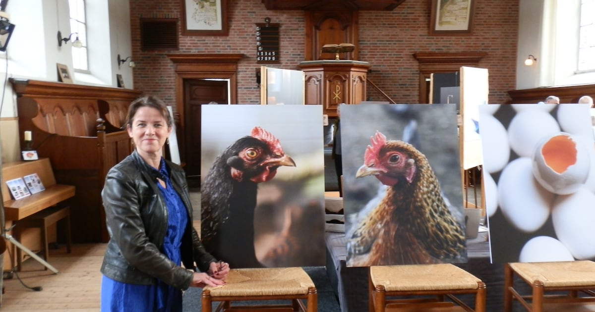 Eibergse pedicure fotografeert voedsel en exposeert in Rekken ...
