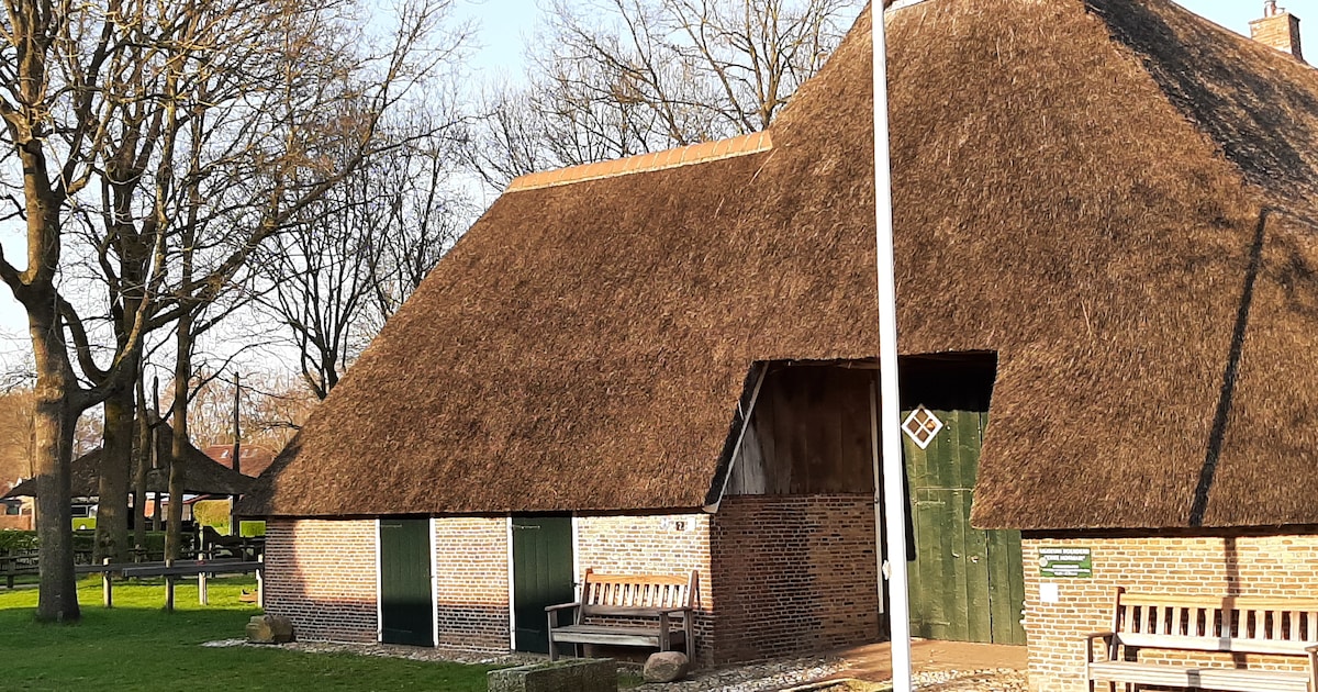 Dorpsmuseum Erve Hofman krijgt timmerwerkplaats voor restauratie van ...