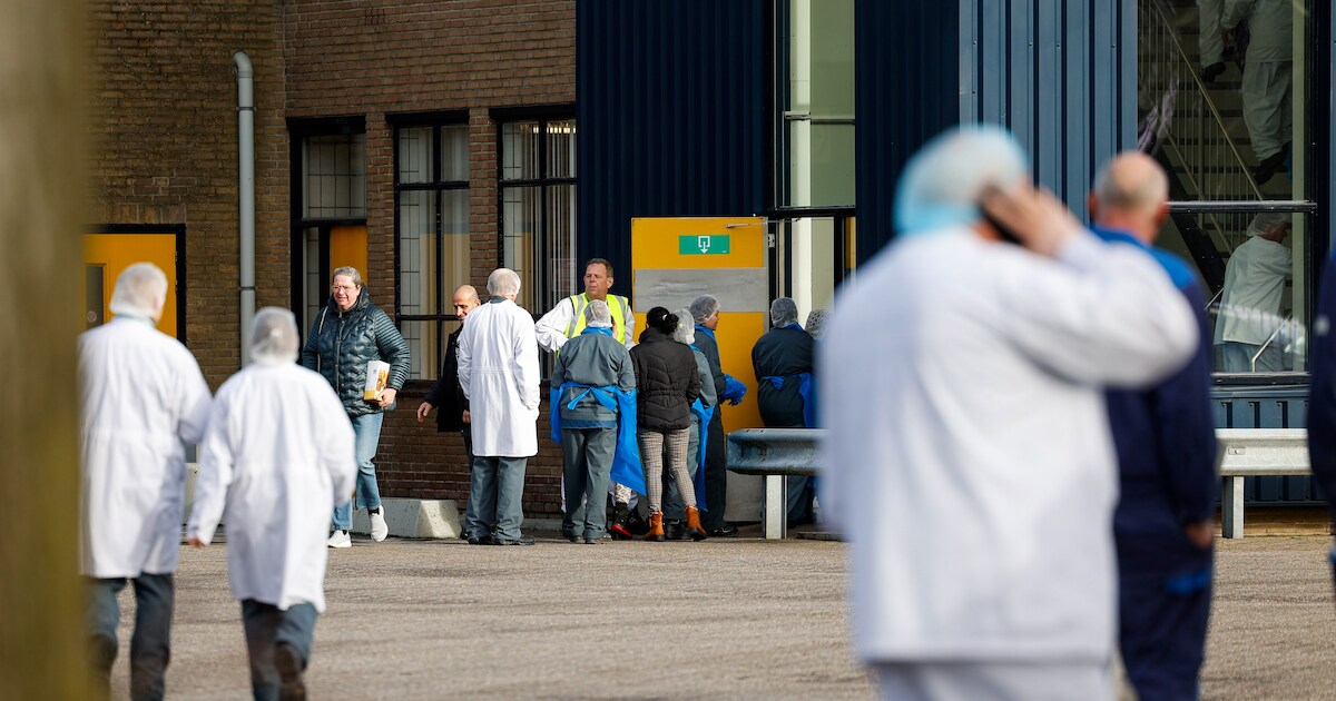 Brand bij Zwanenberg in Almelo onder controle, geen gewonden | Regio ...