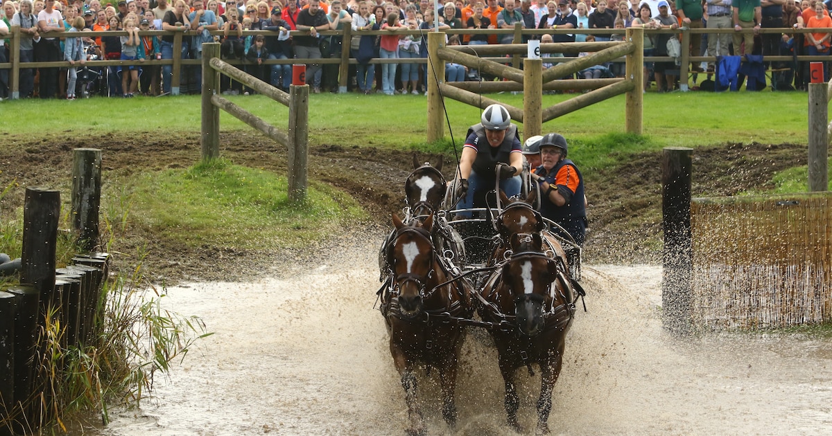 Niemand ter wereld is beter met het vierspan dan Marijke uit ...