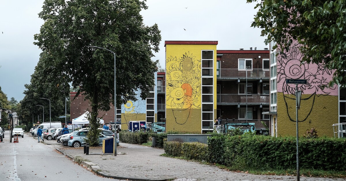 Slang vermist in Doetinchem: signalement ‘ongeveer een meter, niet giftig’ | Winterswijk ...