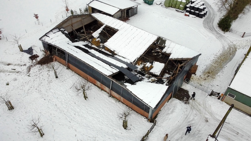 LIVE sneeuw | Dak van stal met 23 koeien bezwijkt in Hilversum, Barry ...