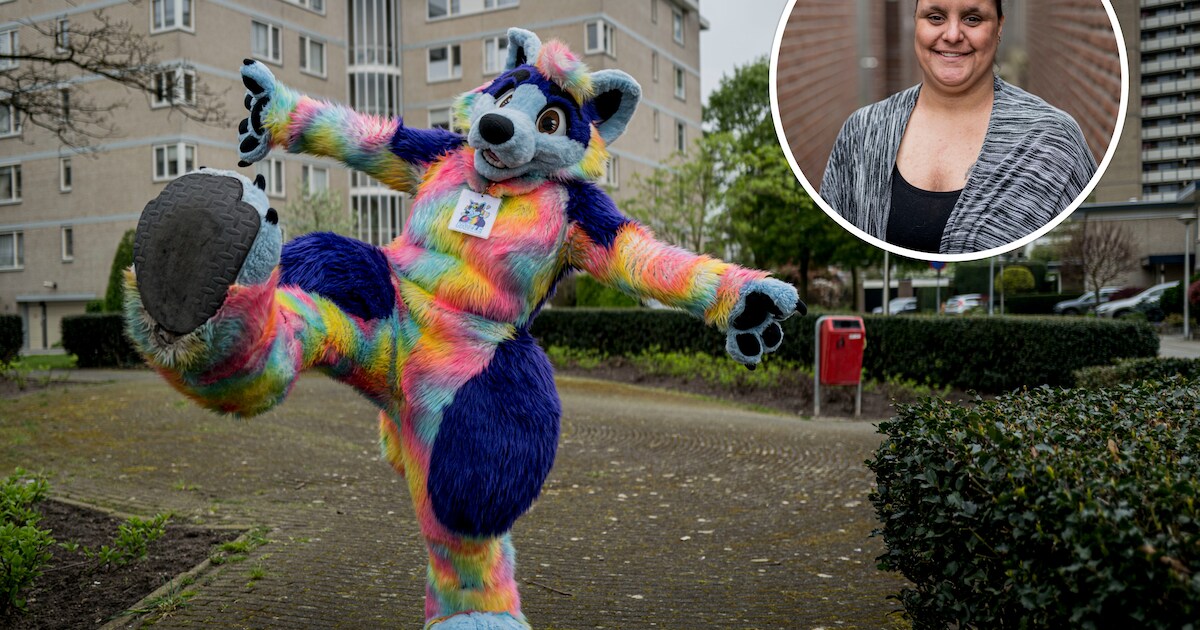 Wie is toch die pluizige regenboog husky die door de Enschedese ...