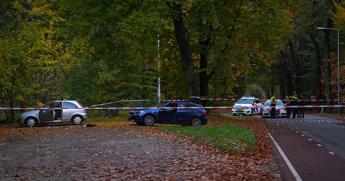 Politie schiet verdachte van auto-inbraak neer bij aanhouding ...