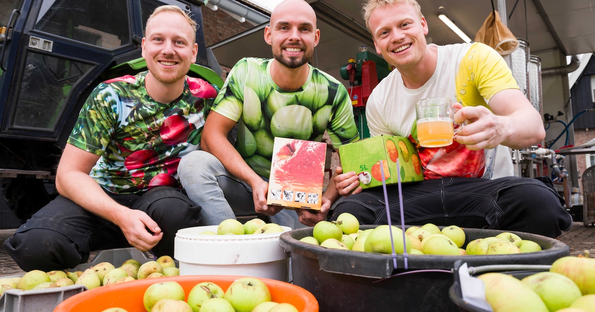 Rijke oogst aan eigen appelen rot niet langer weg onder de boom: deze ...