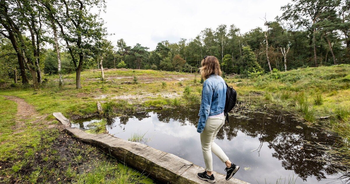 Het is prachtig in Mander, maar we hebben toch bomen nodig | Tubbergen ...