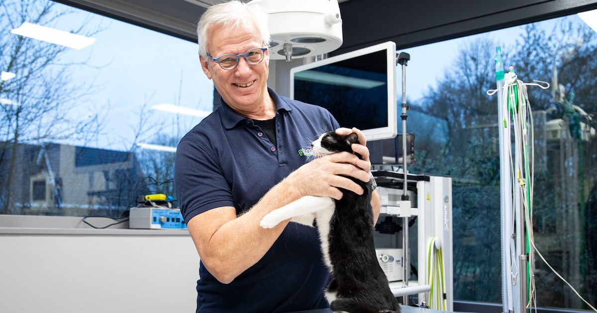 Twentse dierenarts Rob openhartig over de andere kant: 'Mensen accepteren pech niet meer ...