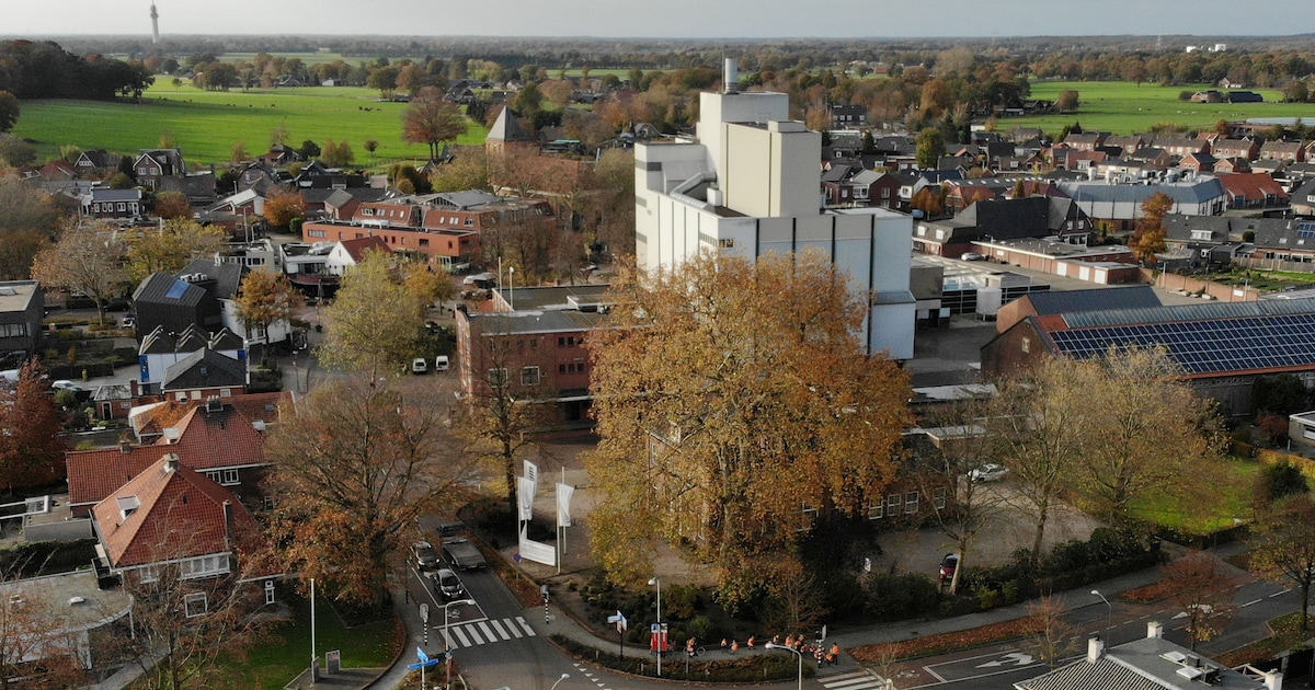 Boete van 100.000 euro dreigt voor veevoederfabriek ABZ: Productiegrens ...