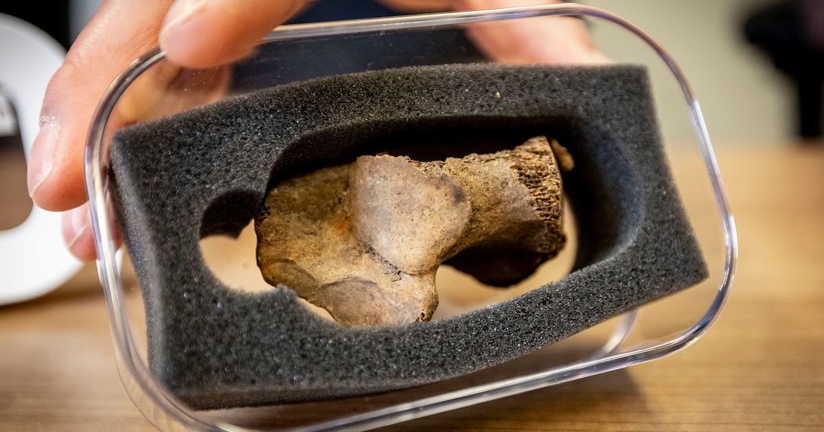 Het bot van de oudste Enschedeër neemt geheimen mee het graf in | Enschede | Tubantia.nl