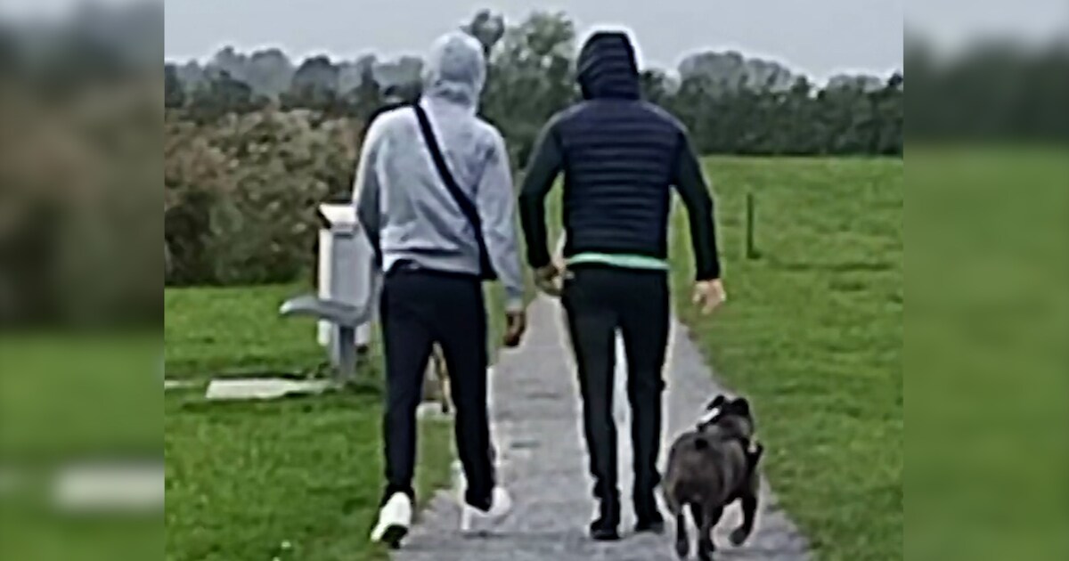 Moeder en vader voor ogen van jonge kinderen mishandeld door ...