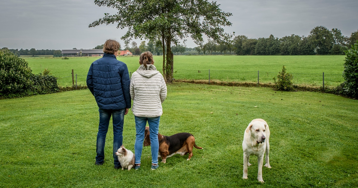 Roelof en Mieke wonen straks midden in een enorm zonneveld: ‘Slapeloze ...