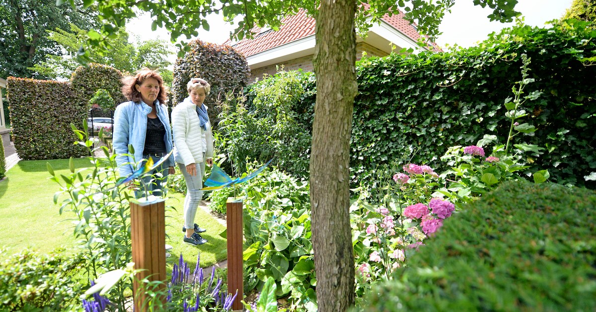 Open tuinenweekend in Tubbergen: een klein paradijs | Tubbergen ...