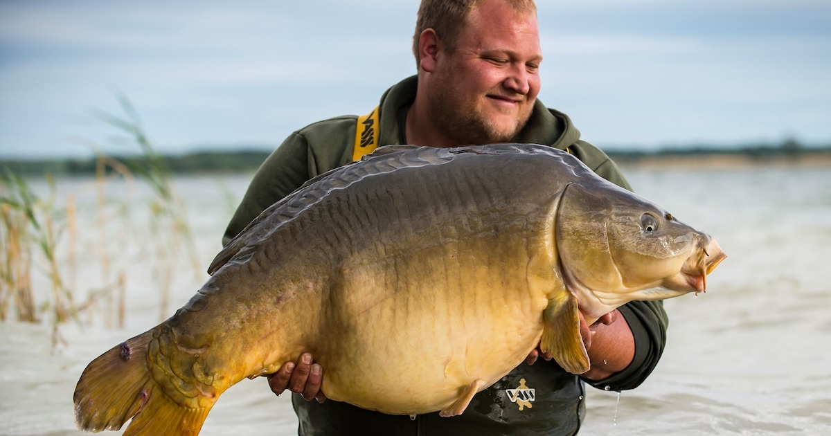 Maik (34) uit Lattrop vangt de grootste karpers met eigengemaakt aas ...