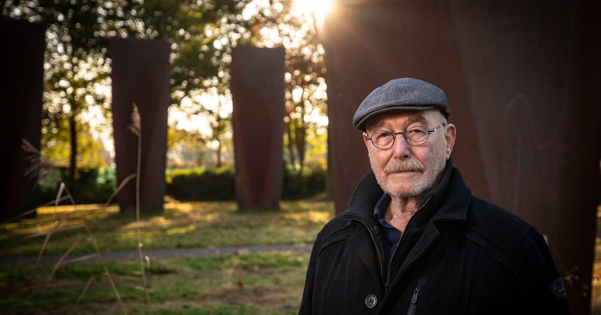 Hengelose ‘steenkring’ lijkt op Stonehenge, al zul je Evert Strobos dat ...