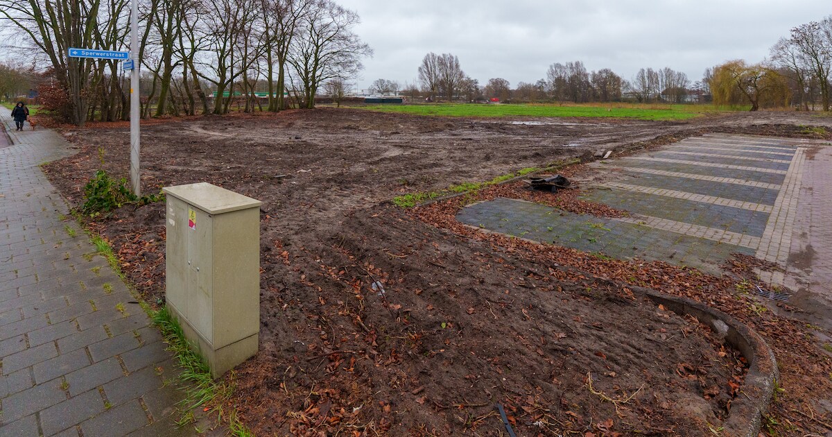 Potjes mosterd voor de gemeente na kappen geliefde bomen in Goor: 'Die ...