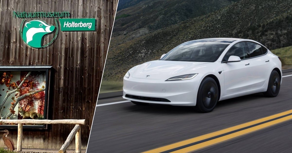 Als natuurmuseum in Holten niet betaalt, wil bedrijf zijn Tesla terug ...