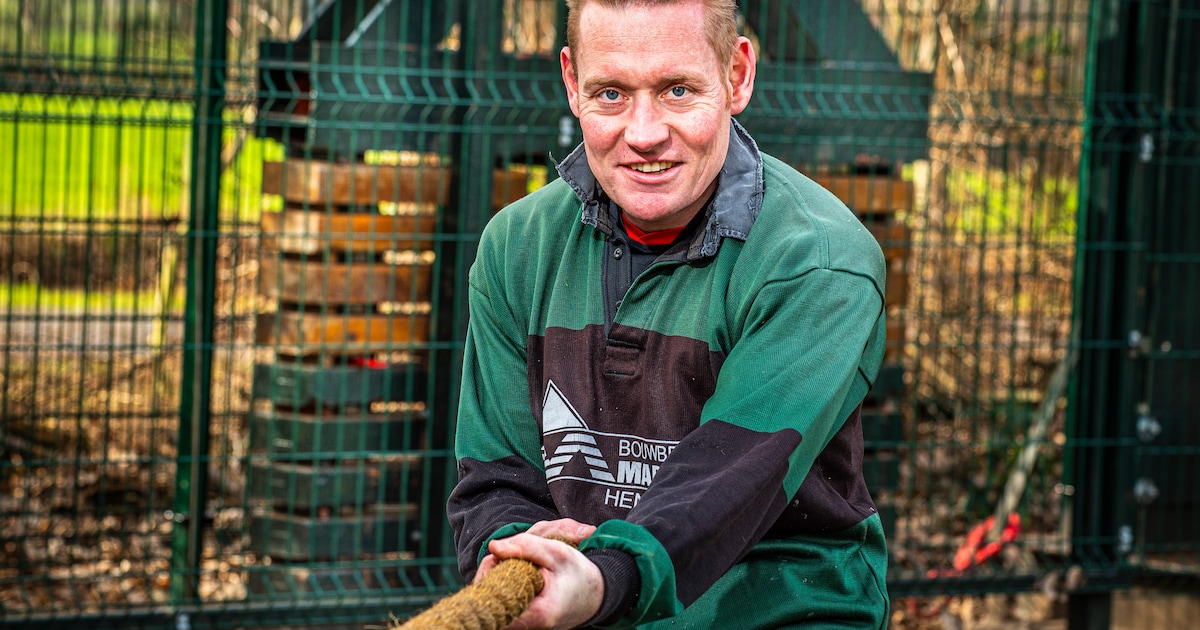 Touwtrektopper Ronald uit Oele traint op de ‘bok’ van overleden maat Mathijs: ‘Bij een grote ...
