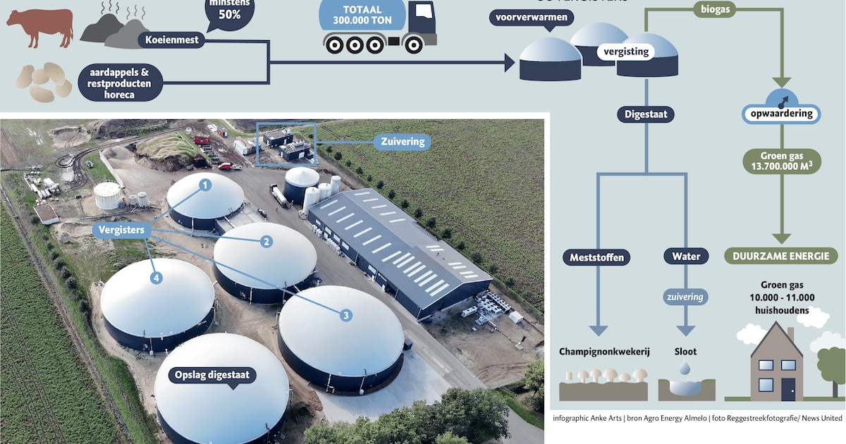 Enorme Almelose mestvergister heeft nog tal van barrières te nemen en ...