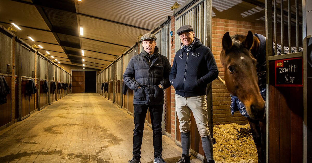 Twentse topspringruiters Dubbeldam en Greve blikken terug: één foutje ...