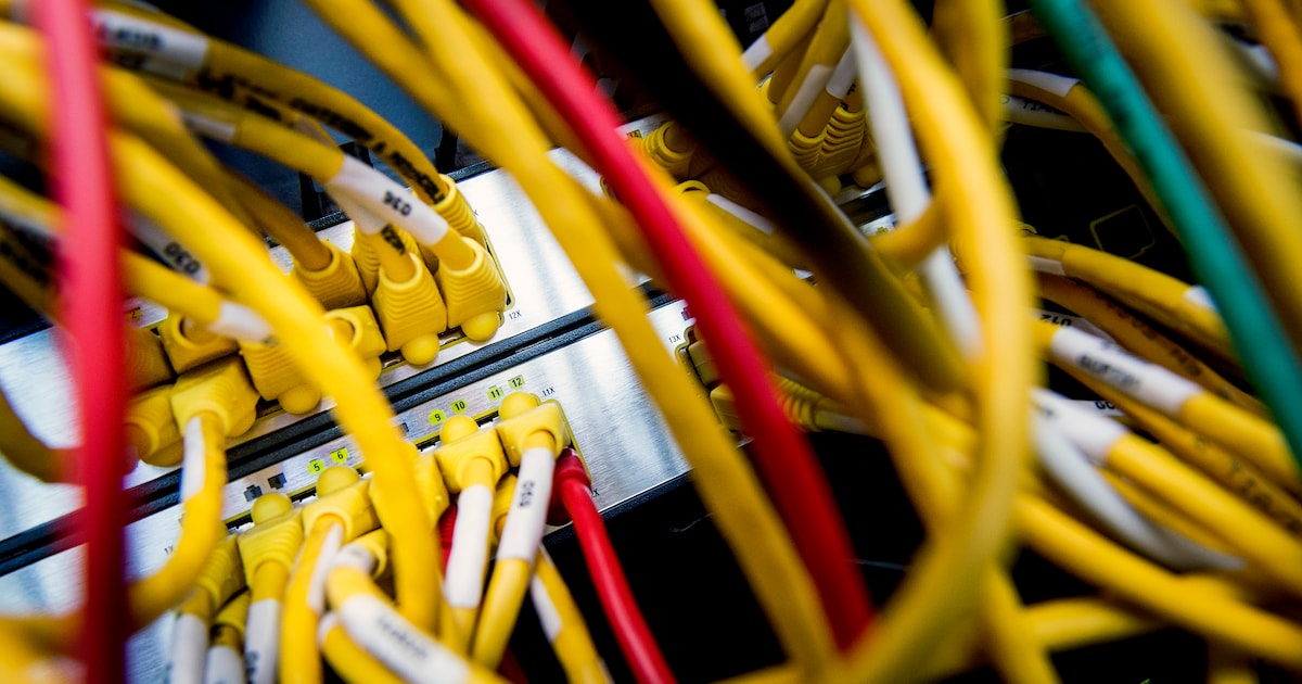 Hengelo’s ict-bedrijf Ovis moet klant weer helpen, oordeelt rechter ...