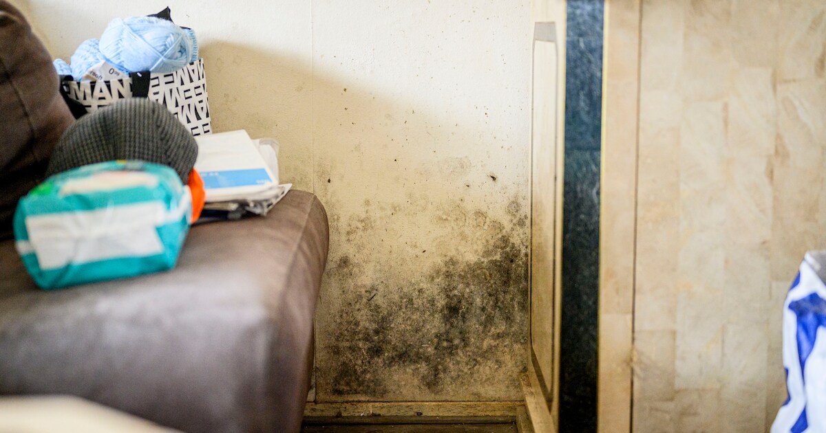 Vocht- en schimmelproblemen in woningen nemen hand over hand toe ...